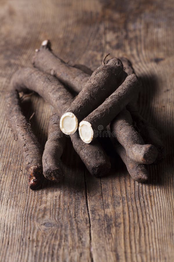 Cut salsify stock image. Image of pieces, vegetable, isolated - 19100679