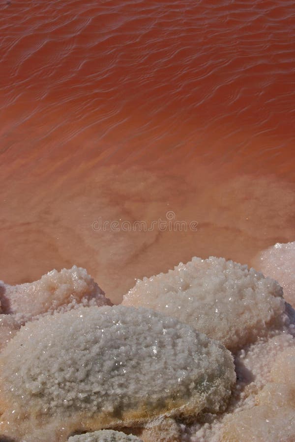Salt area stock photo. Image of camargue, nature, salt - 2311612