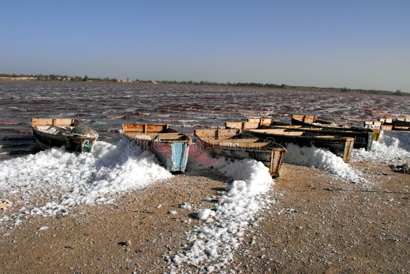 Rose lake. Senegal editorial stock image. Image of extracting - 23881689