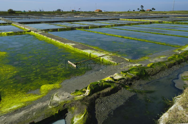 Evaporation Pits Photos - Free & Royalty-Free Stock Photos from Dreamstime