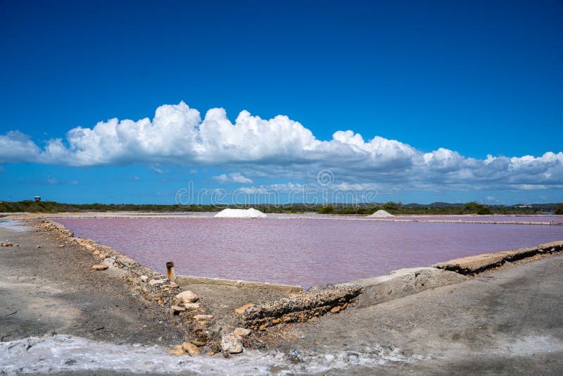 Salt Bank at Puerto Rico stock image. Image of rico - 242577875