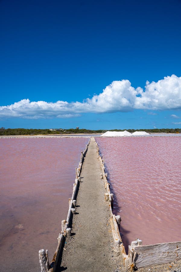 Salt Bank at Puerto Rico stock image. Image of vertical - 242577901