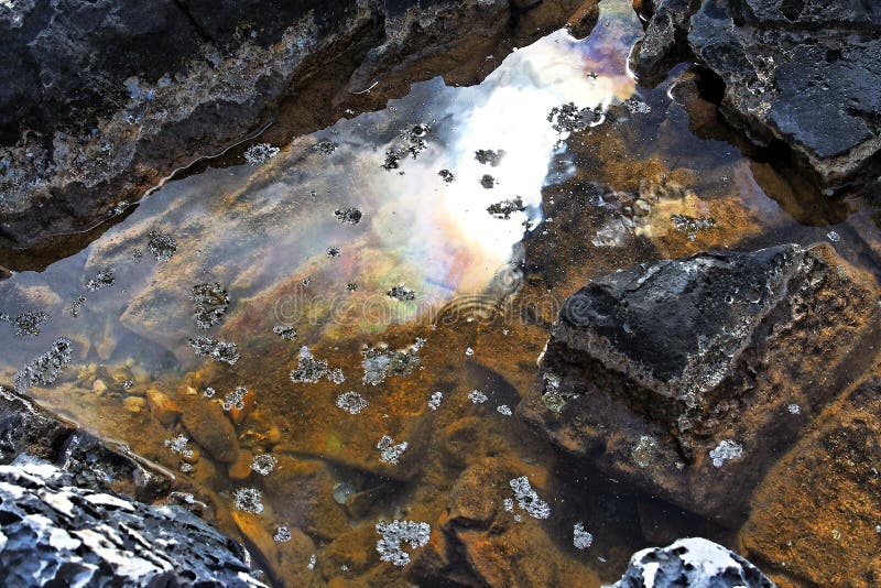 Salt brine pool stock photo. Image of water, detail, landscape - 6171226