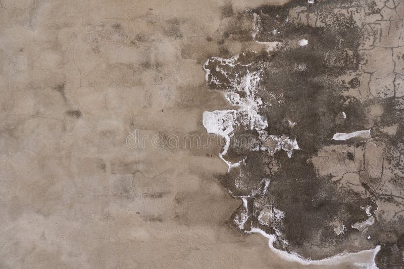 Salt buildup on brickwork. stock image. Image of caused - 339895211