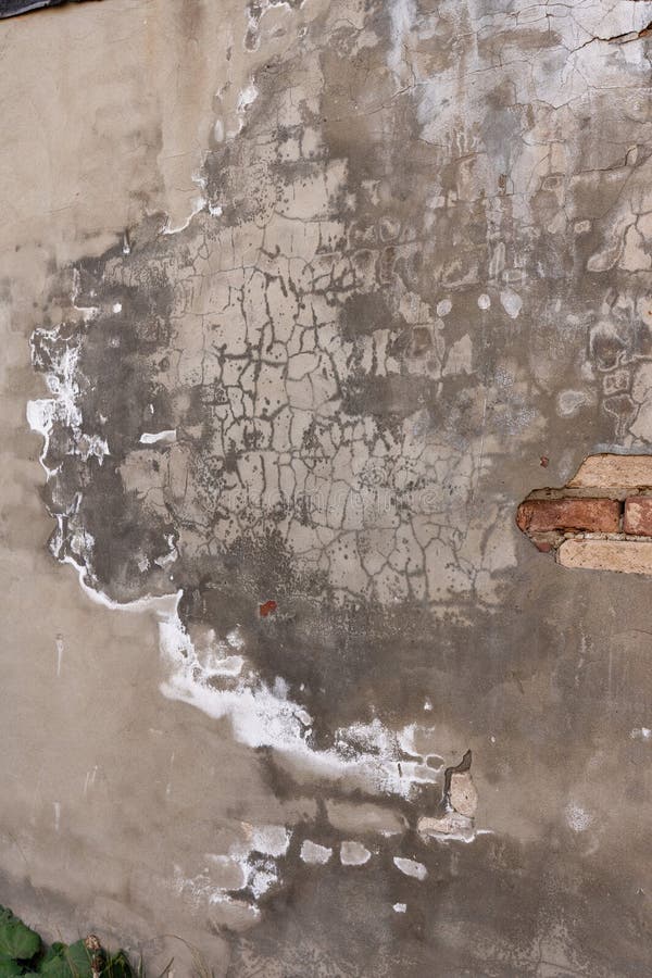 Salt buildup on brickwork. stock image. Image of dankness - 339894783