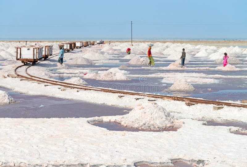 Salt Collecting in Salt Farm, India Editorial Photo - Image of food ...