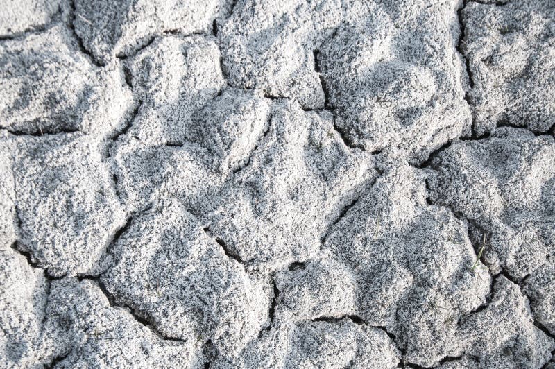 Soil salinity and cracks stock photo. Image of climate - 136700310