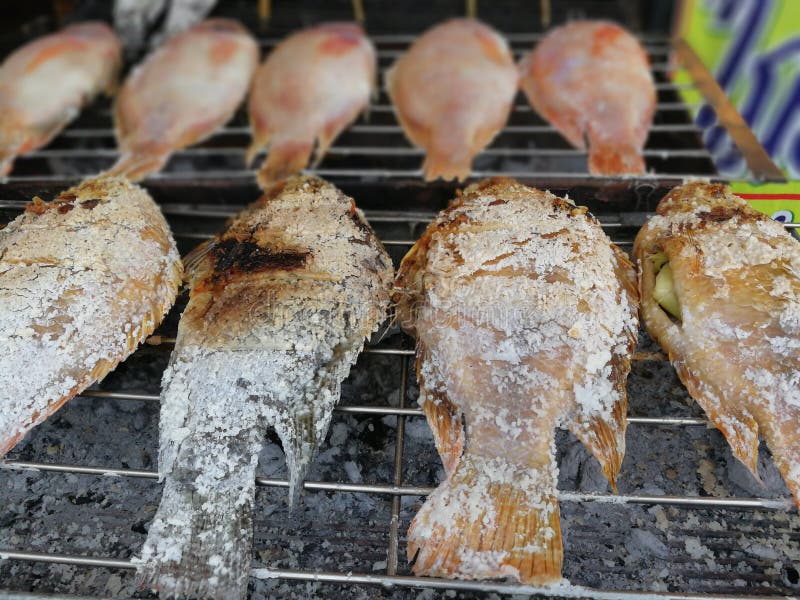 Salt-Crusted Grilled Fish stock photo. Image of water - 97660808