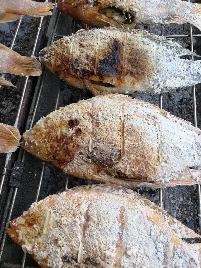 Salt-Crusted Grilled Fish stock photo. Image of seafood - 97661034