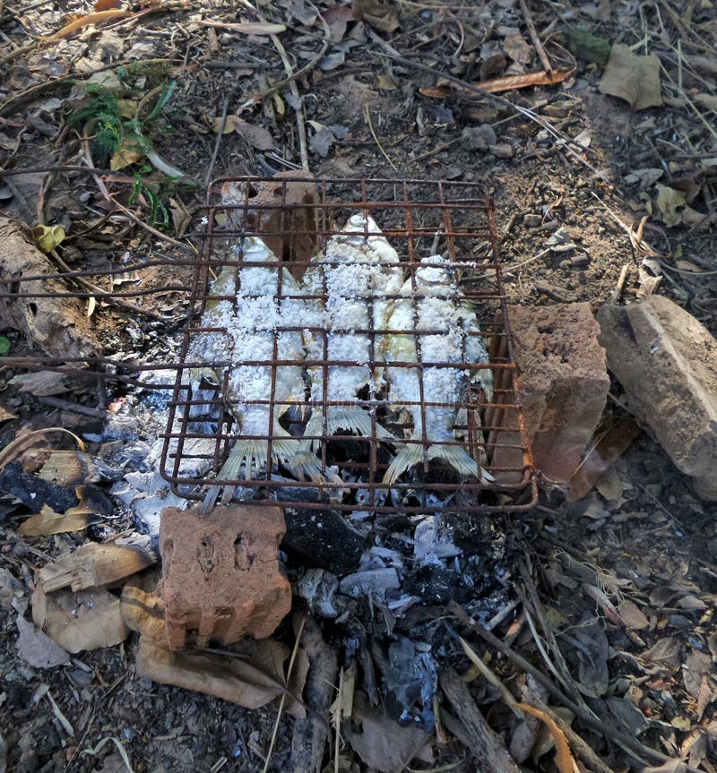 Salt-Crusted Grilled Fish on Gridiron and Charcoal Stock Photo - Image ...