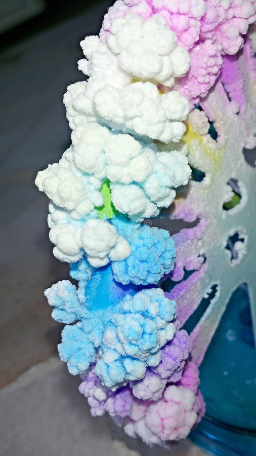 Salt Crystallization - Children S Experiment Stock Photo - Image of ...