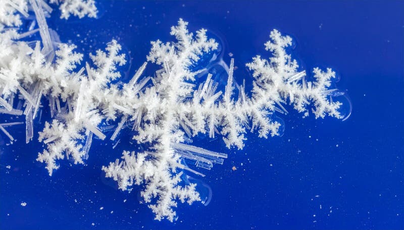 188 Salt Dye Background Stock Photos - Free & Royalty-Free Stock Photos ...