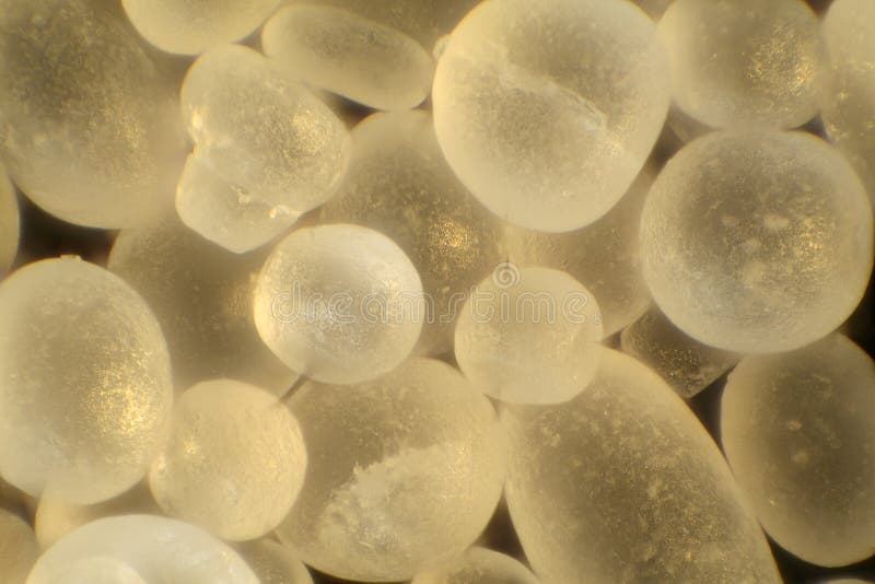 Salt Crystals in Microscope Stock Image - Image of mineral, crystalline ...