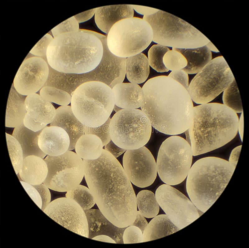 Salt Crystals in Microscope Stock Image - Image of texture, salty: 28536915