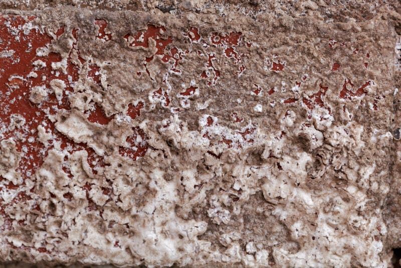 Salt Crystals on the Surface of a Red Brick Stock Photo - Image of ...