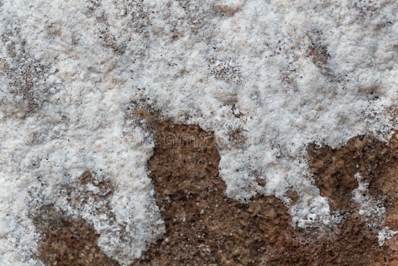 Salt Crystals on the Surface of a Sandstone Stock Photo - Image of ...