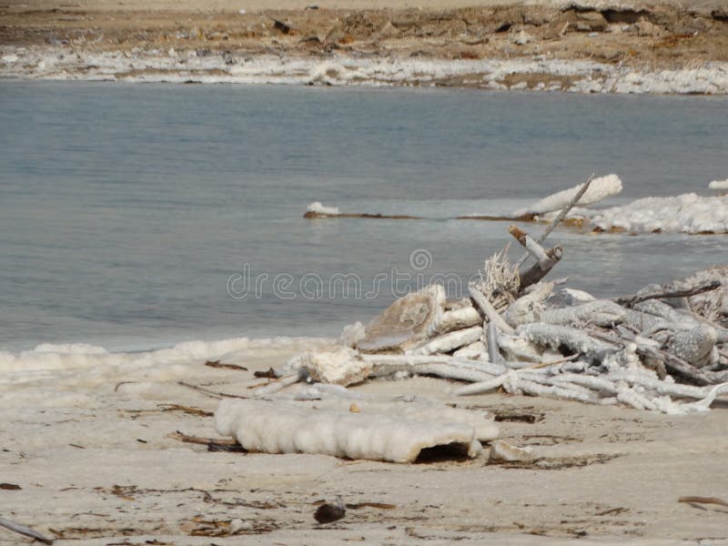 Salt on dead sea Jordan stock photo. Image of rock, salt - 137571080