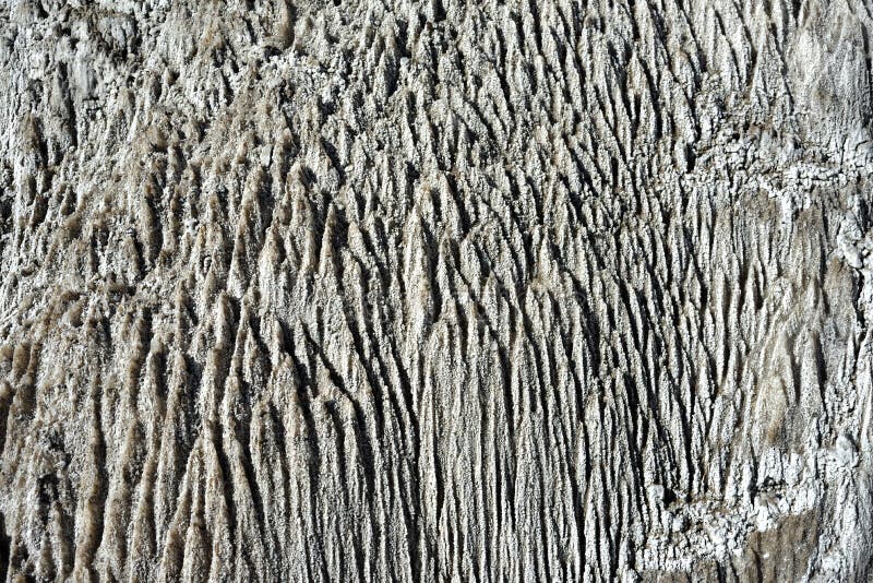 Salt Deposition Pattern on an Wall, in a Salt Mine Stock Photo - Image ...