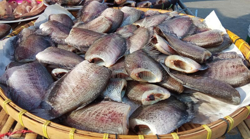 Salt Dried Fish in Local Market Bangkok Stock Image - Image of cuisine ...