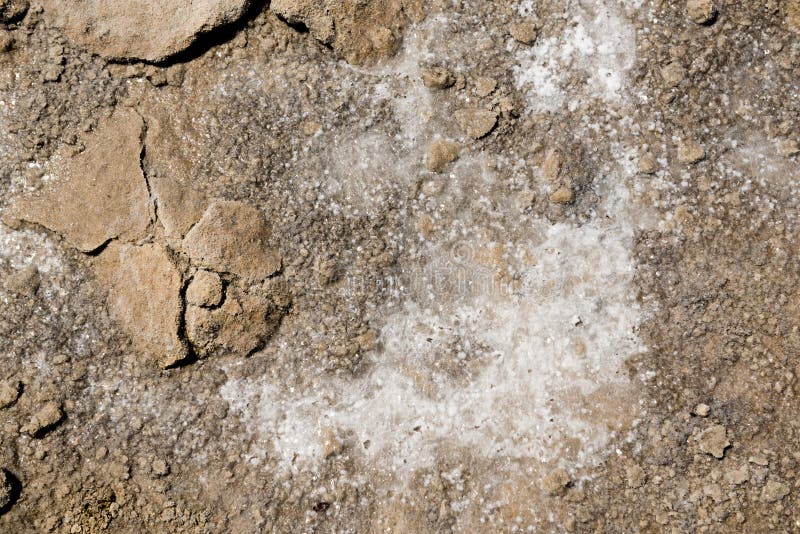 Salt Earth stock image. Image of australia, cracked, ecology - 29632585