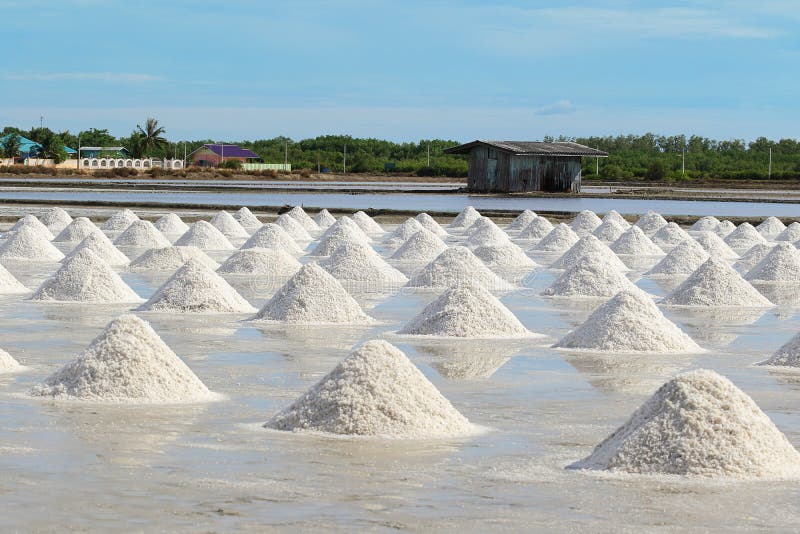 Salt Farm in the Morning with Sunrise Sky. Organic Sea Salt ...