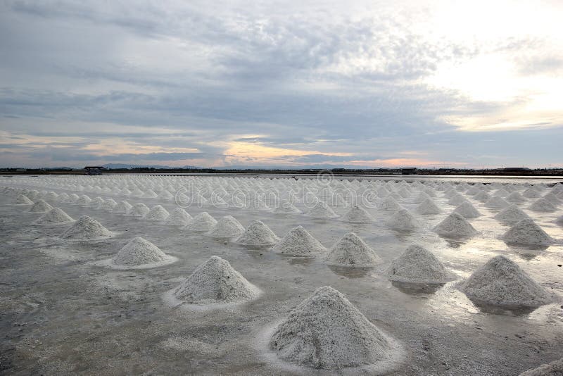 Salt farm stock photo. Image of salt, view, sunrise, dawn - 38547004