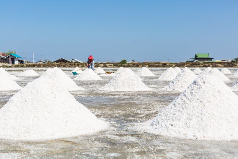 Salt farm stock image. Image of salt, food, cultivate - 52504799