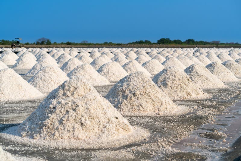 Salt in Salt Farm Ready for Harvest, Thailand Stock Photo - Image of ...