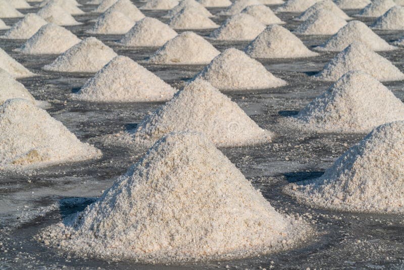 Salt in Salt Farm Ready for Harvest, Thailand Stock Photo - Image of ...