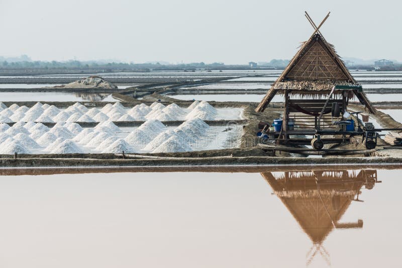 Salt farm stock photo. Image of field, salty, asia, outdoor - 57907188