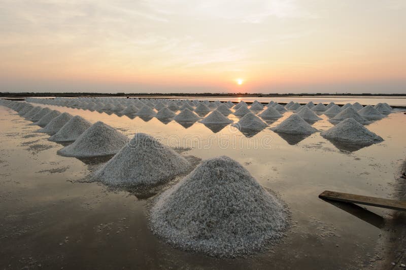 Salt Farm, Salt Pan in Thailand Stock Photo - Image of exploration ...