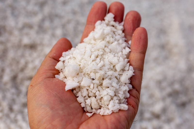 Salt in the Farmer`s Hand, Salt Harvest. Stock Photo - Image of cuisine ...