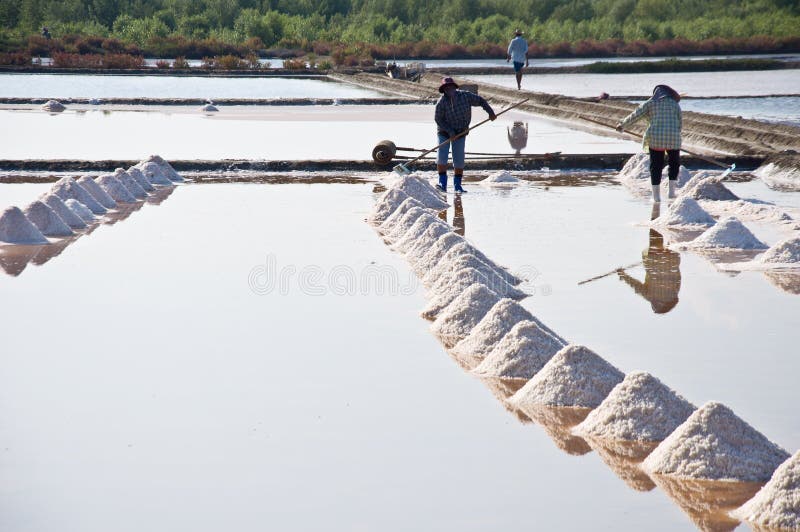 Salt farmer stock image. Image of reflects, asia, food - 31031963