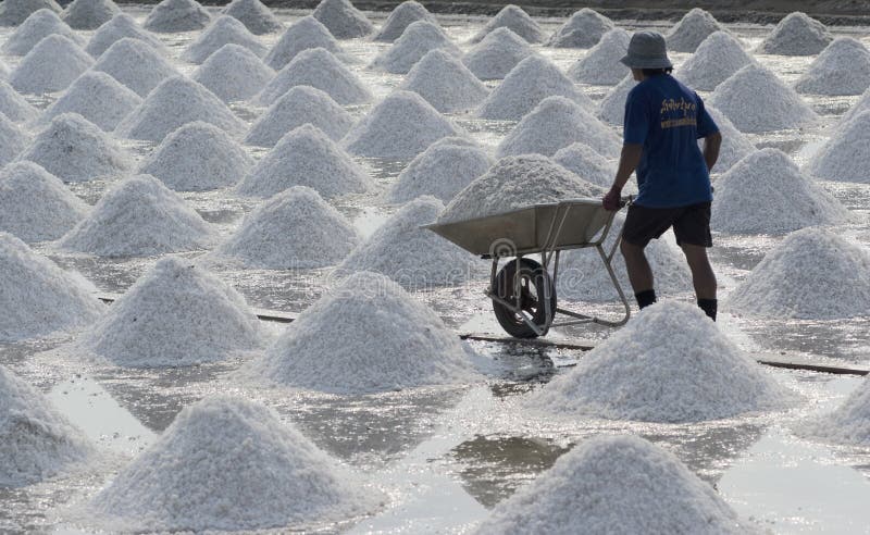 Salt Farming Editorial Photography - Image: 19642322