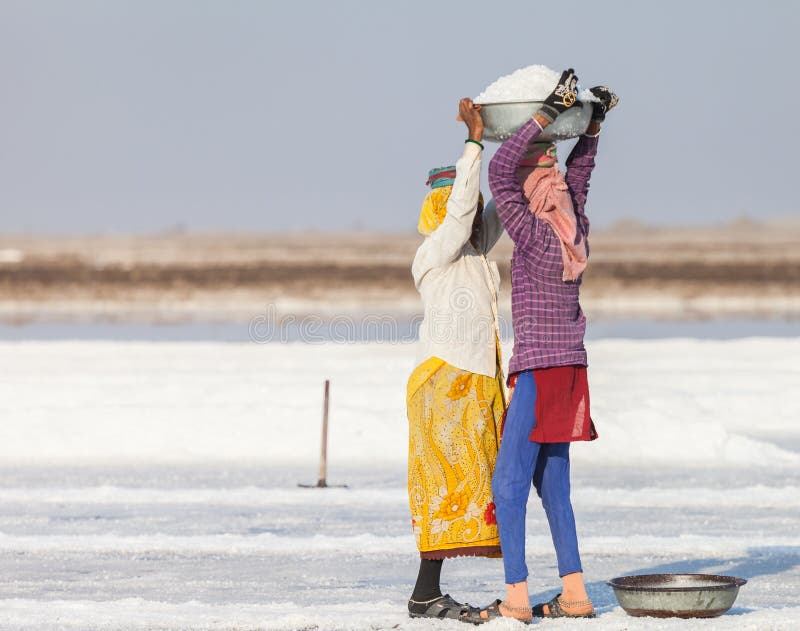 Salt farming editorial photo. Image of field, summer - 68131851