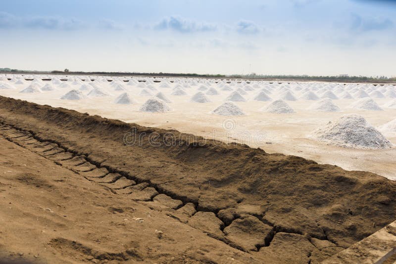 Salt farming in Thailand stock photo. Image of heap, industry - 68806700