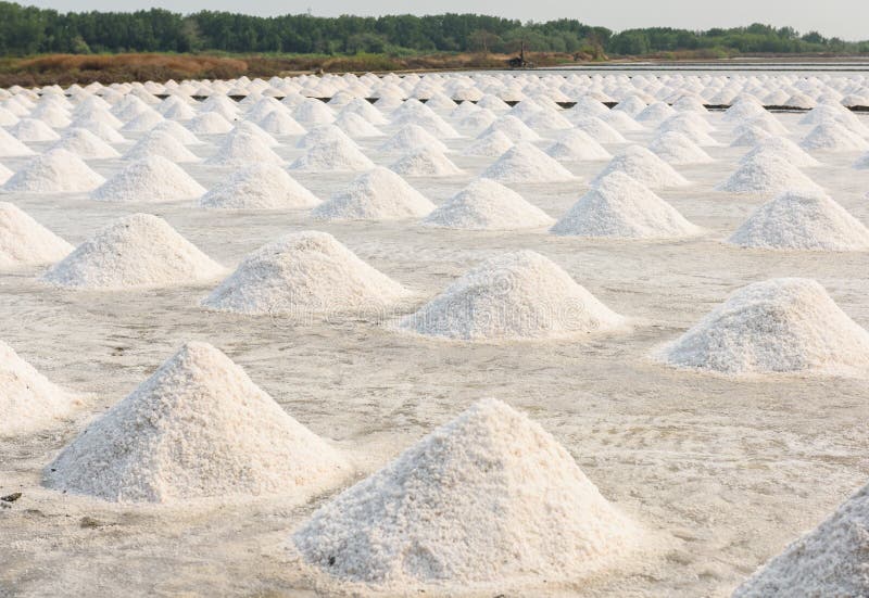 Salt farming in Thailand stock image. Image of salted - 68843723