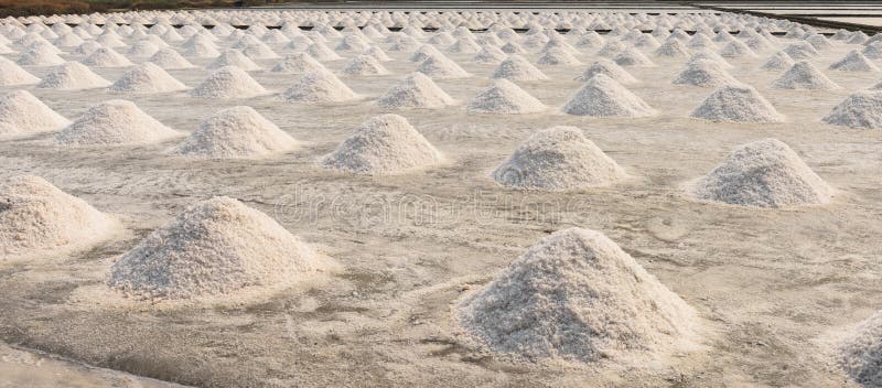 Salt farming in Thailand stock photo. Image of salt, harvest - 68885898