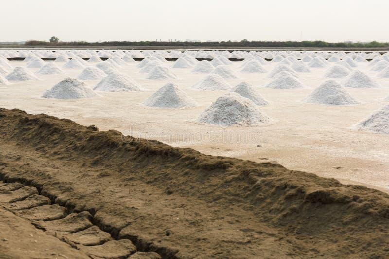 Salt farming in Thailand stock photo. Image of evaporation - 68994098