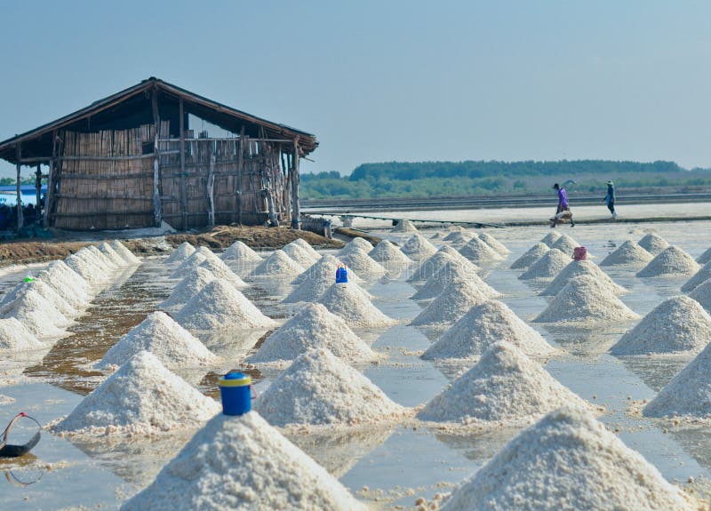 Salt farming Thailand stock photo. Image of saline, mineral - 42822616