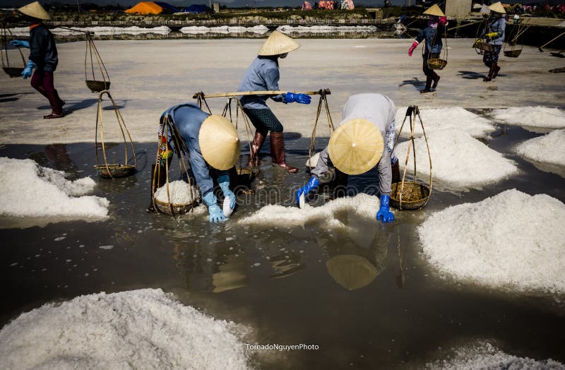 SALT FIELD Picture. Image: 86689534