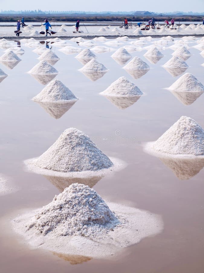 Salt field stock photo. Image of pond, field, asia, chloride - 35530596