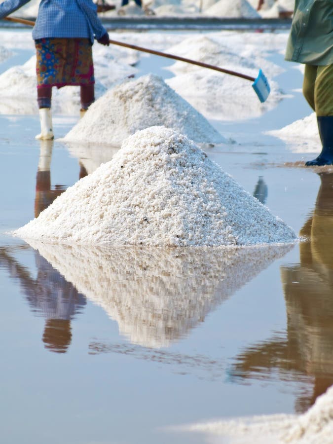Salt field stock photo. Image of briny, pond, flake, outdoor - 61879782
