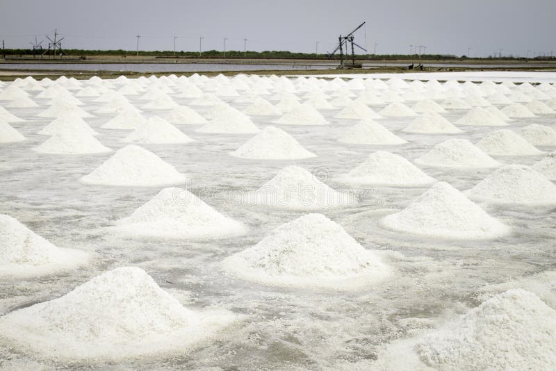 Salt field stock photo. Image of mineral, field, rectangle - 31799898