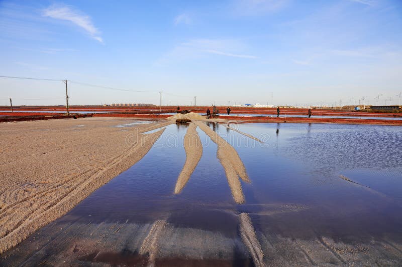 Salt field scenery stock photo. Image of saltworks, water - 390025814