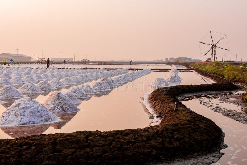 Salt field. editorial stock image. Image of health, attractions - 87348334