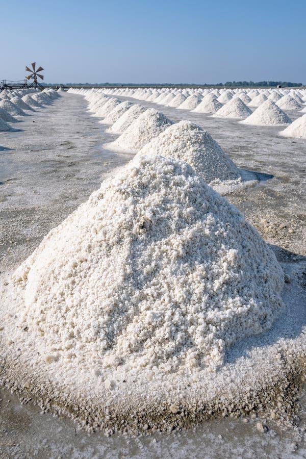 Salt field stock photo. Image of farm, industry, organic - 172621188