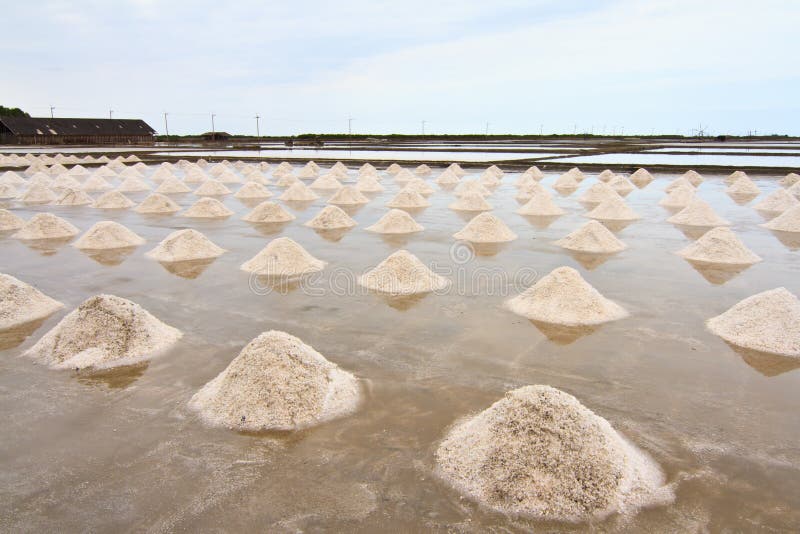 Salt field in thailand stock photo. Image of asia, beautiful - 30469666
