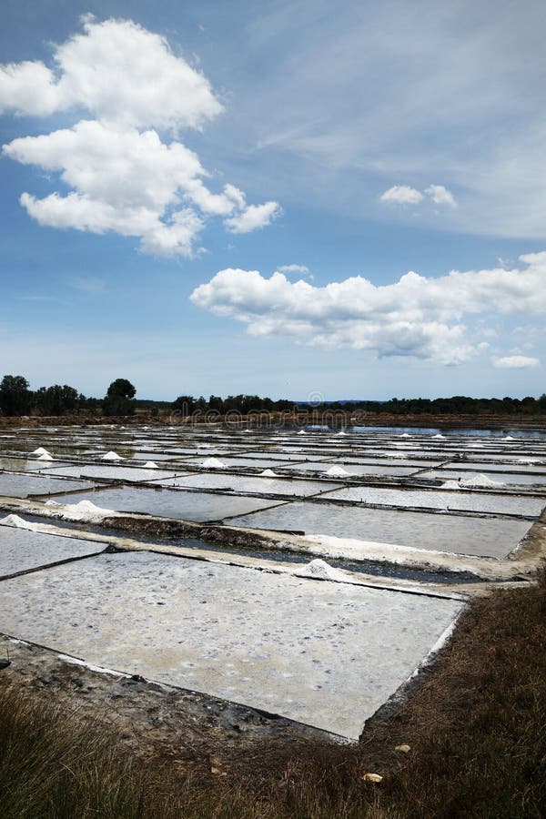 Salt field stock photo. Image of mineral, china, summer - 97999112