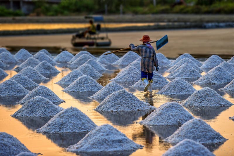 Saltfieldworker Stock Photos - Free & Royalty-Free Stock Photos from ...